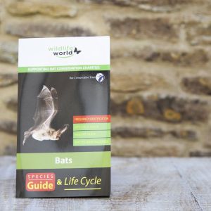 UK Bats Guide